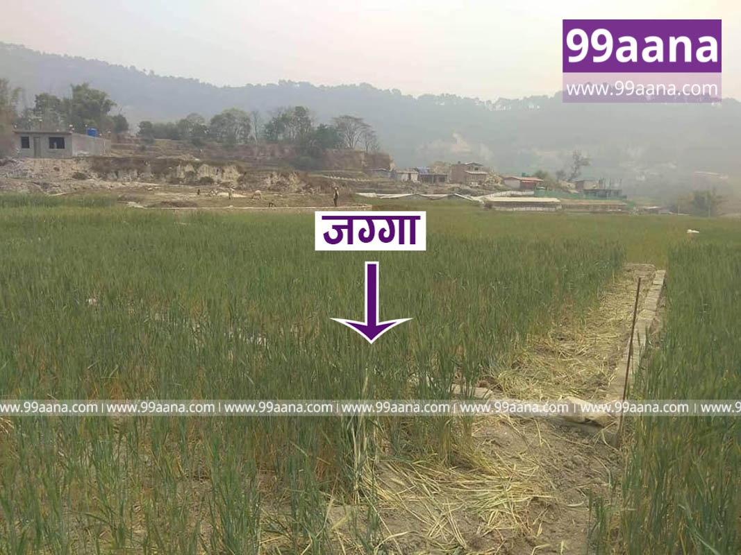 Land for sale at Budhanilkantha, Chunikhel, Kathmandu - 99Aana.com